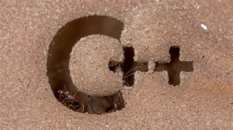 Error Reporting In C