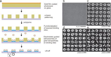 Nsf Funds Reinhard Group To Develop Optical Multiparametric Biosensors Chemistry Blog