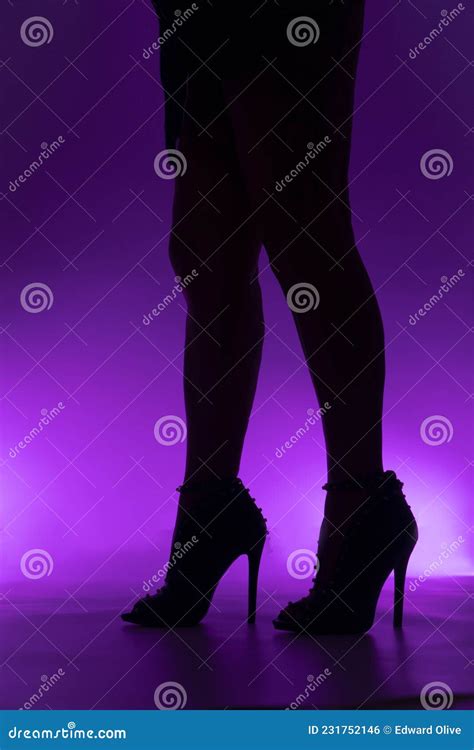 Sexy Frau Mit Langen Beinen Stockfoto Bild Von Elegant Mode 231752146
