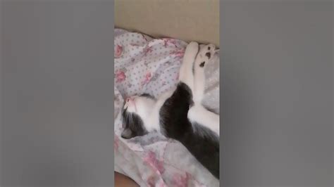 Zzzzzzzzzzzzzzzz Youtube