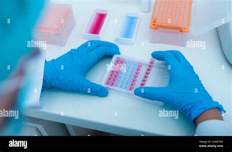 Lab Container Woman Hi Res Stock Photography And Images Alamy