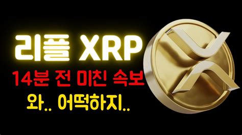 리플 진짜 어떡하죠 아 잠도 못 자겠네 Youtube