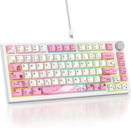 Amazon Com SbocKeeb Percent Pink Keyboard Gasket Mounted With Sound Absorbing Pads Key