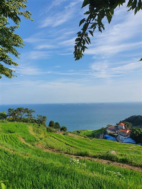 익스트림무비 이국적인 미국마을과 뷰 맛집인 다랭이마을