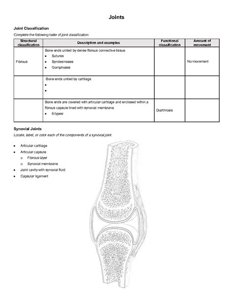 Joint Classification And Anatomy Of Synovial Joints Bio 101 Lab Studocu