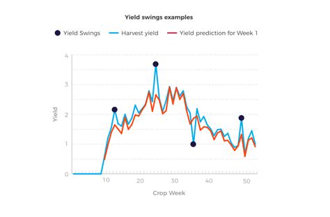 Rethinking Singular Focus On High Accuracy In Tomato Yield Prediction
