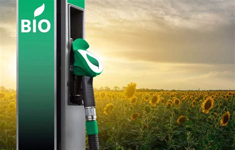 Global Biofuel Alliance G20 Nations Eye 500 Billion Opportunity In