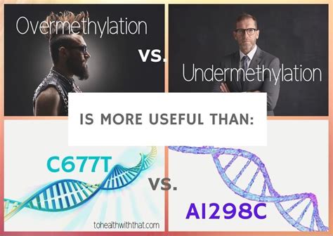 Best 12 What You Need To Know About C677t Mutations Artofit