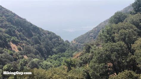 Mt Wilson Trail Guide