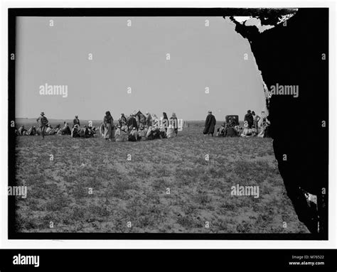 a historical photograph depicting workers known as locust killers in