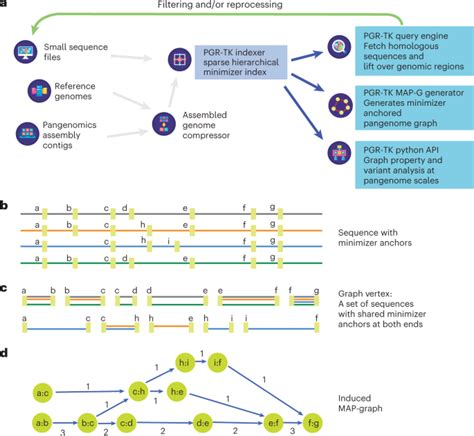 全基因组的多尺度分析能够改善重复和临床相关基因的基因组多样性的表征 Nature Methods X Mol