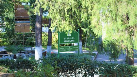 ვიდეოთვალთვალის წესების დარღვევისთვის მწვანე სკოლა 500 ლარით დააჯარიმეს Netgazeti • ლუკა