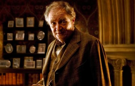 Esta Es La Clasificación Definitiva De Los Profesores De Harry Potter