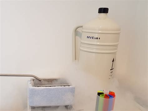 Zamrzavanje Embrija Povećava Uspješnost Ivf A Neplodnosthr