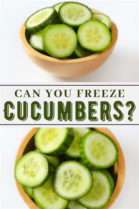 Can You Freeze Cucumbers Insanely Good