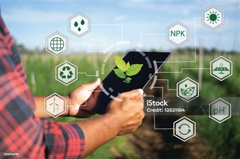 스마트 젊은 농부들은 태블릿을 사용하여 농장을 관리하고 기술을 사용하여 작업 시간을 줄이고 편의성을 높입니다 농업 기술에 대한