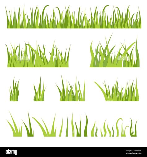 Green Grass Patterns Set Stock Vector Image And Art Alamy