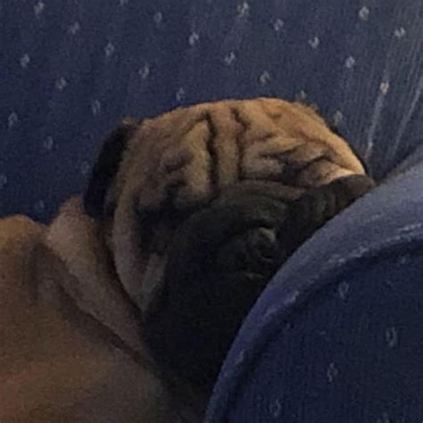 Connor Mcgovern Connormcgovern0 • Threads Say More