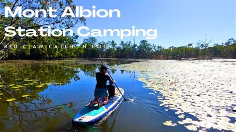 Mont Albion Station Camping Redclaw Catch N Cook Youtube