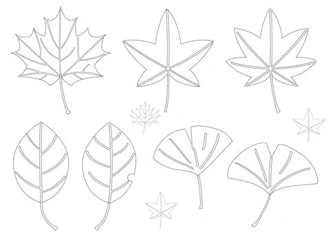 Rudens Spalvinimas 🍂 Pepe Lt