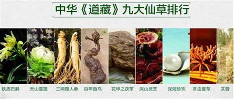 铁皮石斛是“中华九大仙草之首”的提法确切吗？中国铁皮石斛网