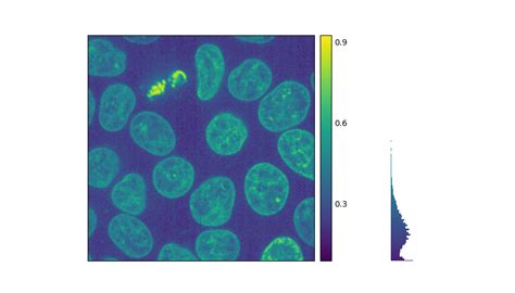 Map Function To Transform 2d Image — Seaborn Image Documentation