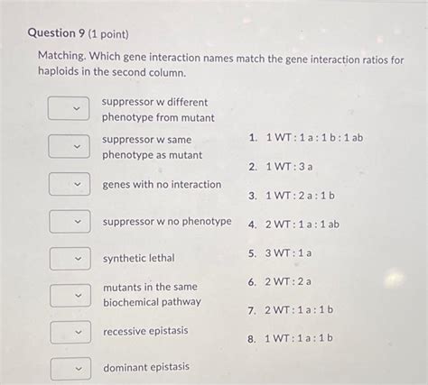 Solved Question 8 1 Point Matching Which Gene Interaction Chegg Com