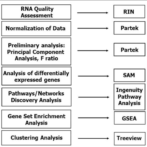 Outline Of Microarray Analysis Sam Significance Analysis Of