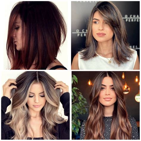 25 Dark Brown Hair Vs Black Chalonermatylda