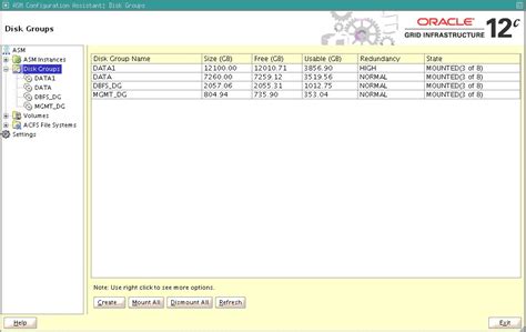 Netsoftmate Technical Blog Configure Acfs On Exadata Running Oracle 12201 On Flex Asm