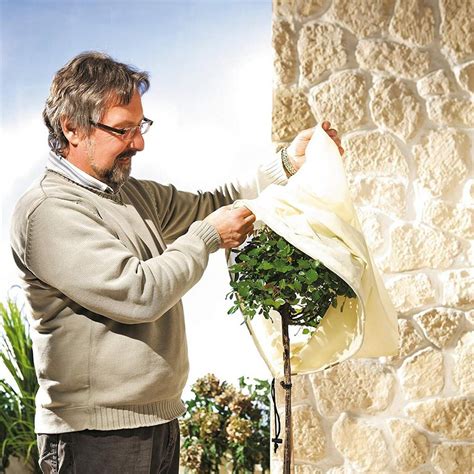 Plant Cover Winter Warm Cover Tree Shrub Plant Pro Grandado