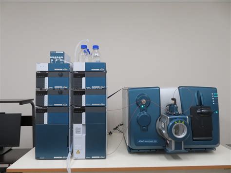 « 前のページ 次のページ