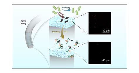 An Intelligent Antibacterial Hydrogel Coating With Triple Antifouling