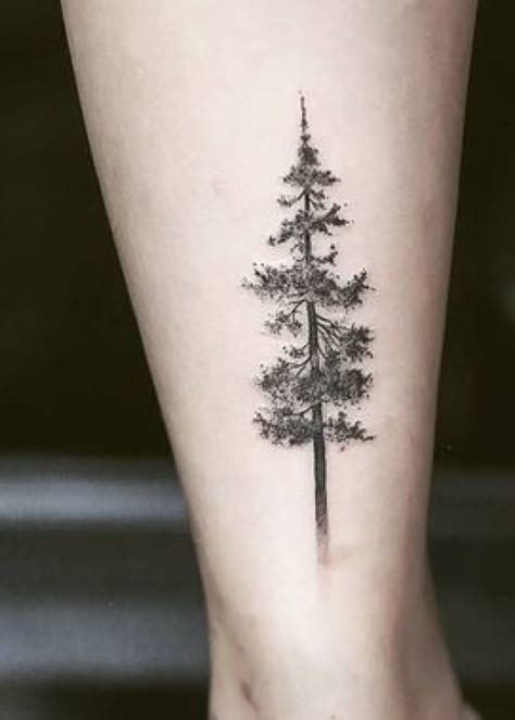 8 Cedar Tree Tattoos Ideas To Save Today Tree Tattoo Tattoos Pine