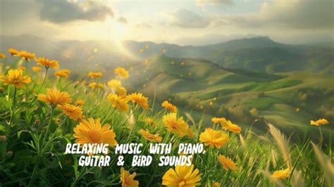 Sunny Mornings Beautiful Relaxing Music With Piano Guitar And Bird