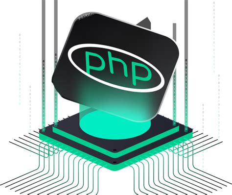 Php Long Term Support By Pagely Secure Your Website