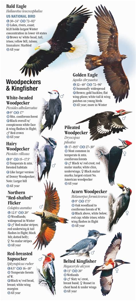 Birds Of Oregon Quick Reference Publishing Retail