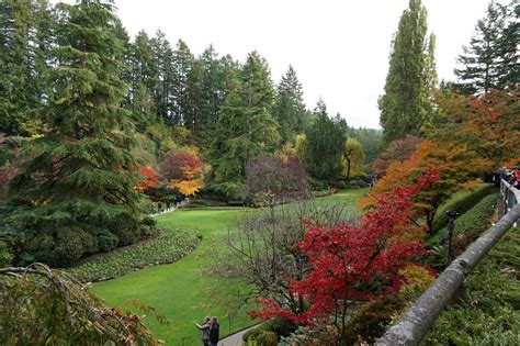 How To Create A Chatbot With Gcp Dialogflow By Thuan L Nguyen Medium