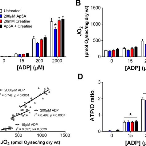 Oxidative Phosphorylation Oxphos Efficiency Increases As A Function Download Scientific