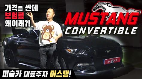 가성비 머슬카 포드 머스탱 23 컨버터블 에코부스트 리뷰 네이버 Tv