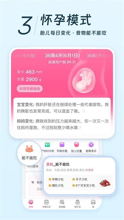 女生记录月经的软件排行榜前十名女生记录月经的软件哪个好用对比