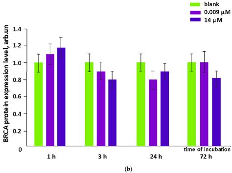 Expression Of Brca1 Gene A And Brca1 Protein B In Helf Cells After Download Scientific