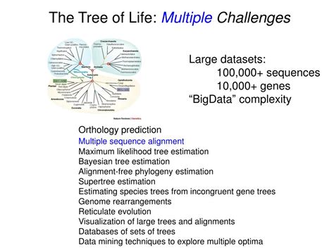 Ppt Algorithms For Ultra Large Multiple Sequence Alignment And