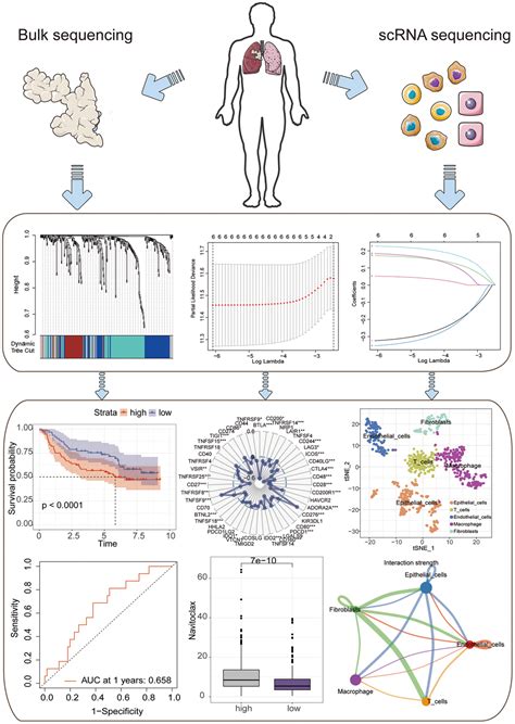 The Integration Of Multi Omics Analysis And Machine Learning For The Identification Of