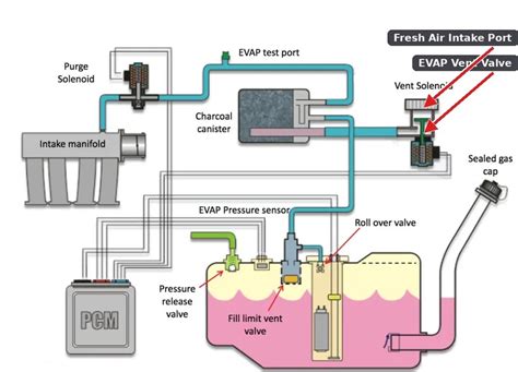 Obd Ii Code P0446 Evap System Vent Control Circuit Malfunction Go