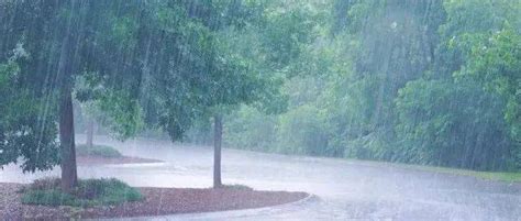 雨雨雨，说下就下！接下来还有三次降雨大部地区哈尔滨夜间