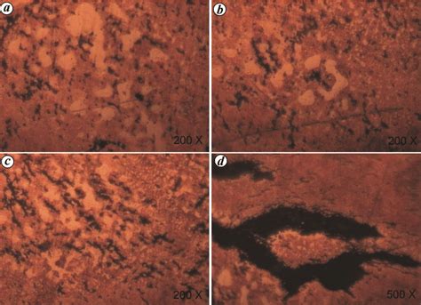 Microstructure Of Sample 6 An Inter Crystalline Crack Is Visible In Download Scientific