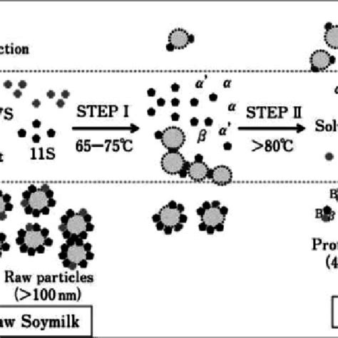 Procedure Of Soya Milk Preparation Download Scientific Diagram