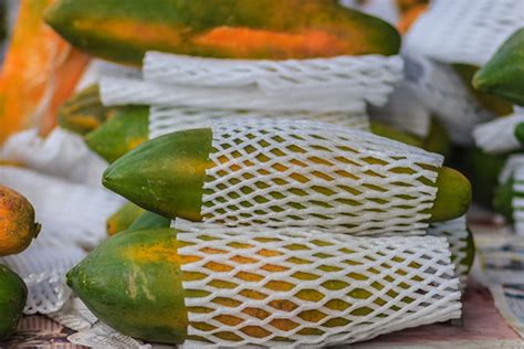 Epe Foam Fruit Net Shrinidhi Foam