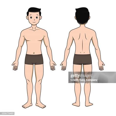 112 Human Body Outline Front Back High Res Illustrations Getty Images